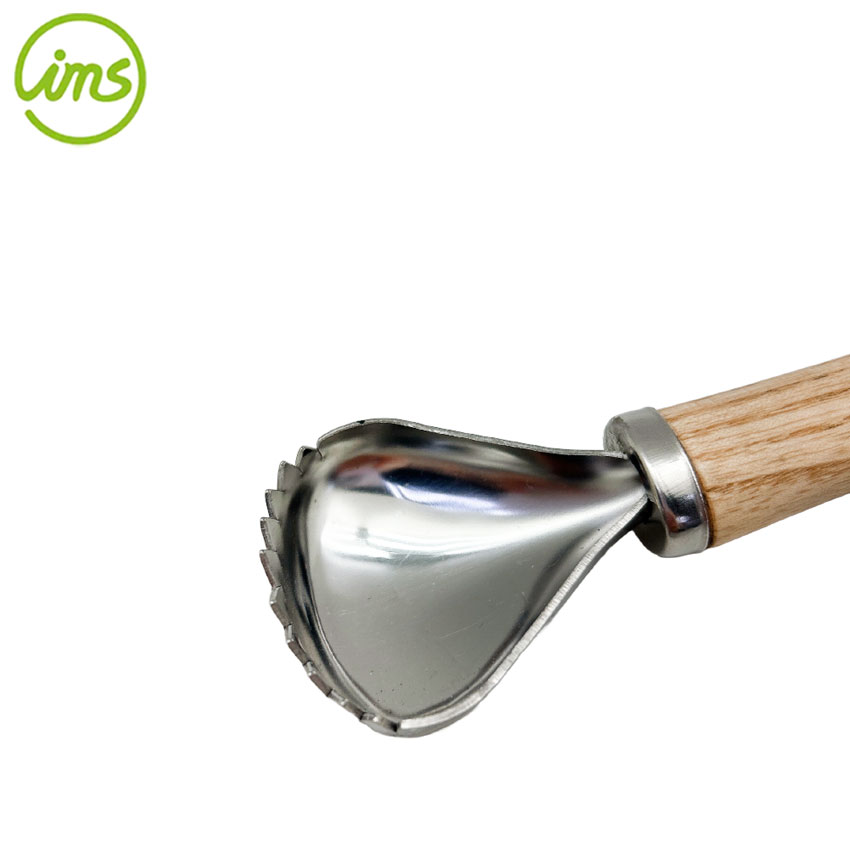 Stainless Steel Fish Scale Remover with Wooden Handle – Safe ...